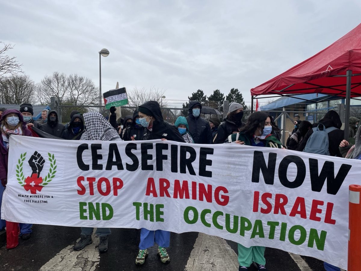 Over 300 writers brand Israel's actions 'genocide' in call for ...