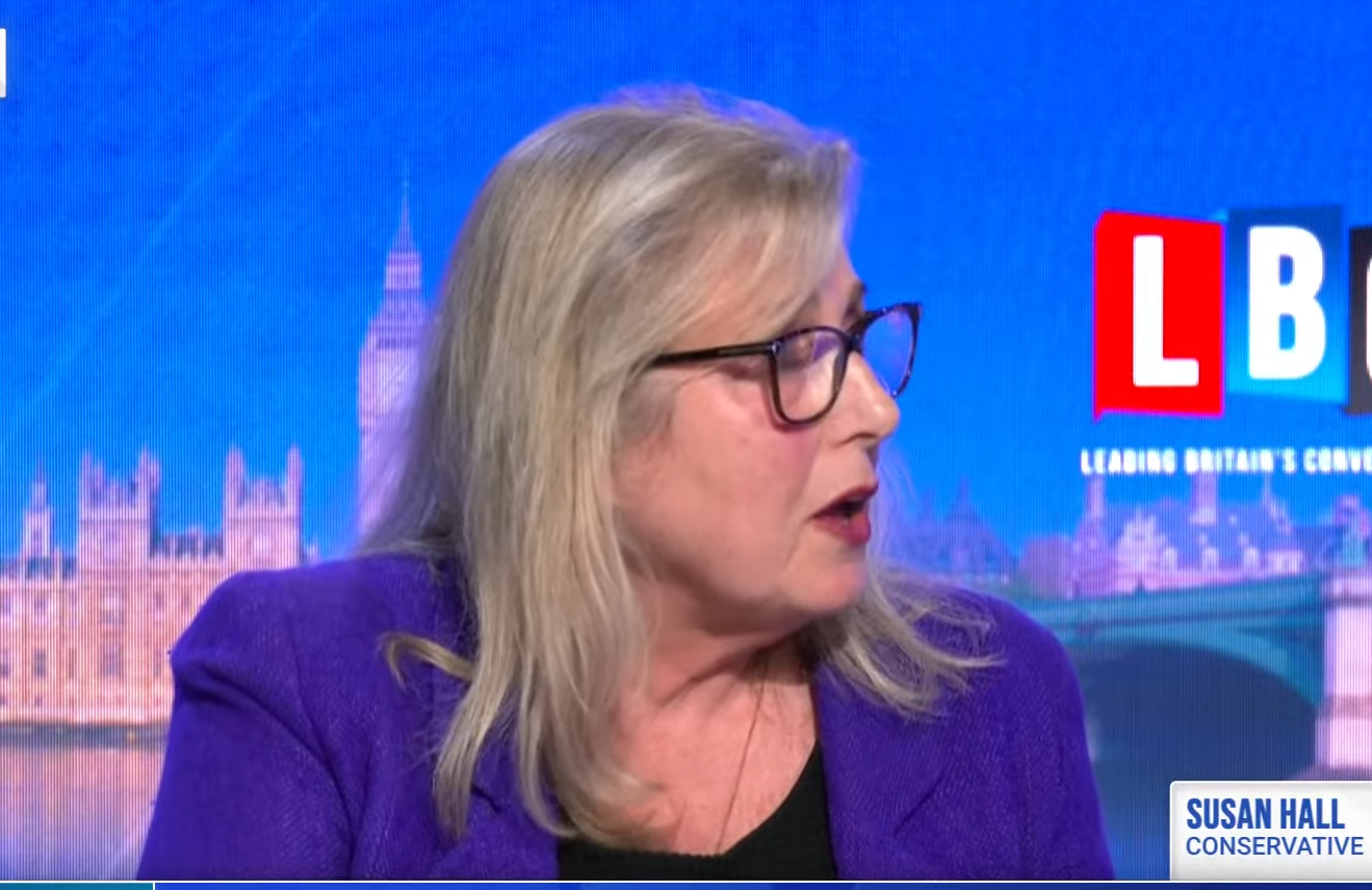 Susan Hall in car crash interview over free school meals U-turn - Left ...