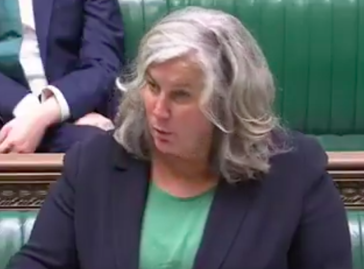 Heidi Alexander roasts Nigel Farage over him wanting to entirely scrap ...