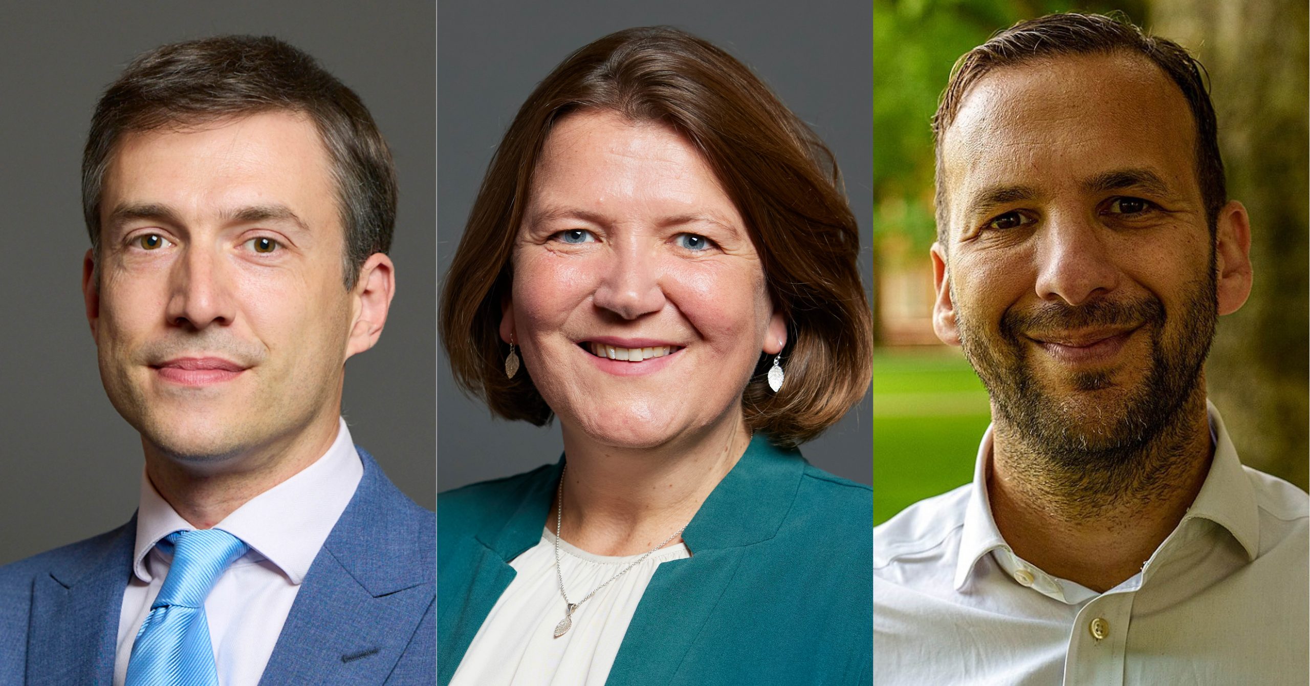 Voting is now open in the Green Party leadership election - who will ...